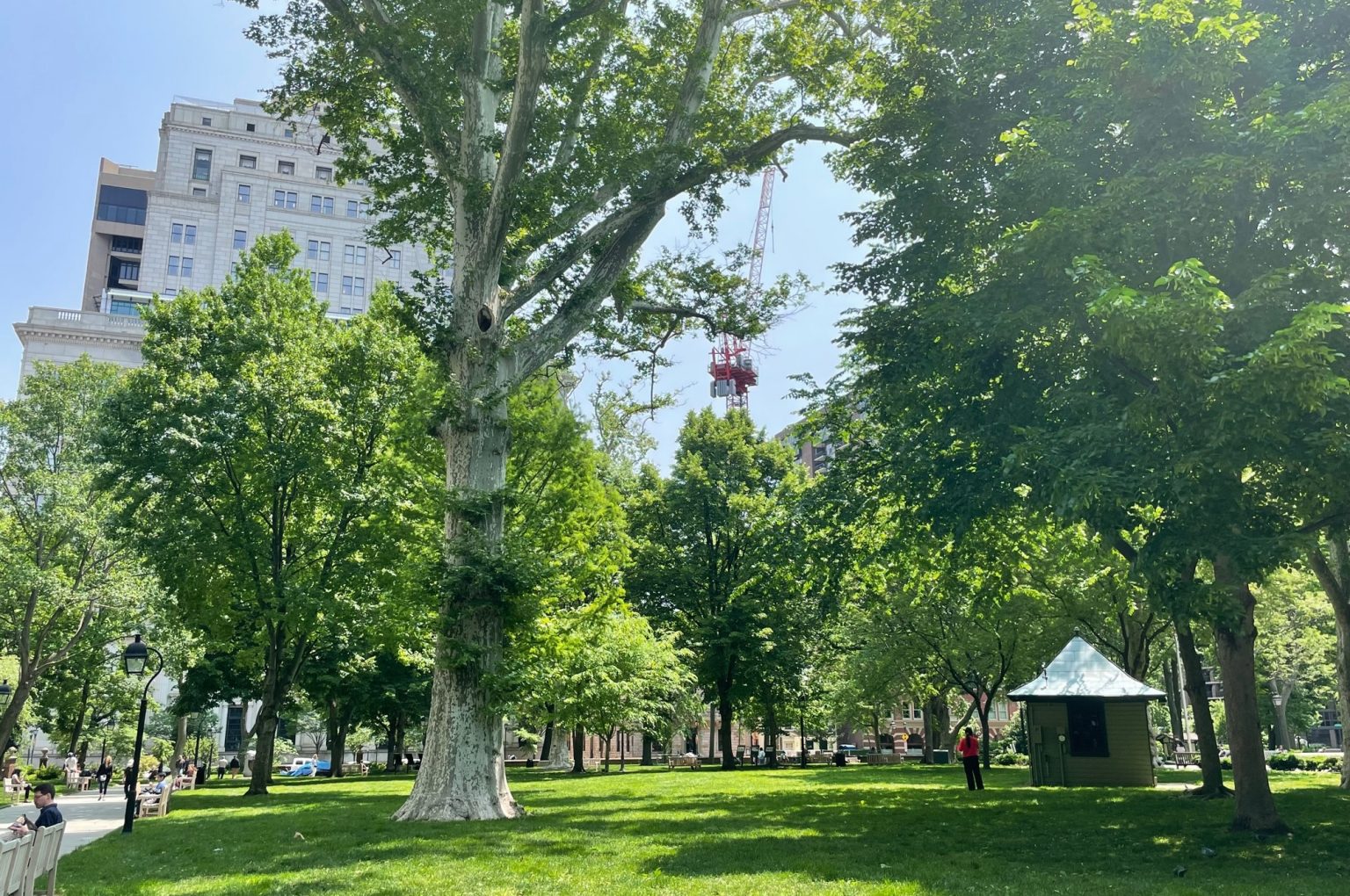 Tower Crane Over Washington Square Signals Construction at Dilworth ...